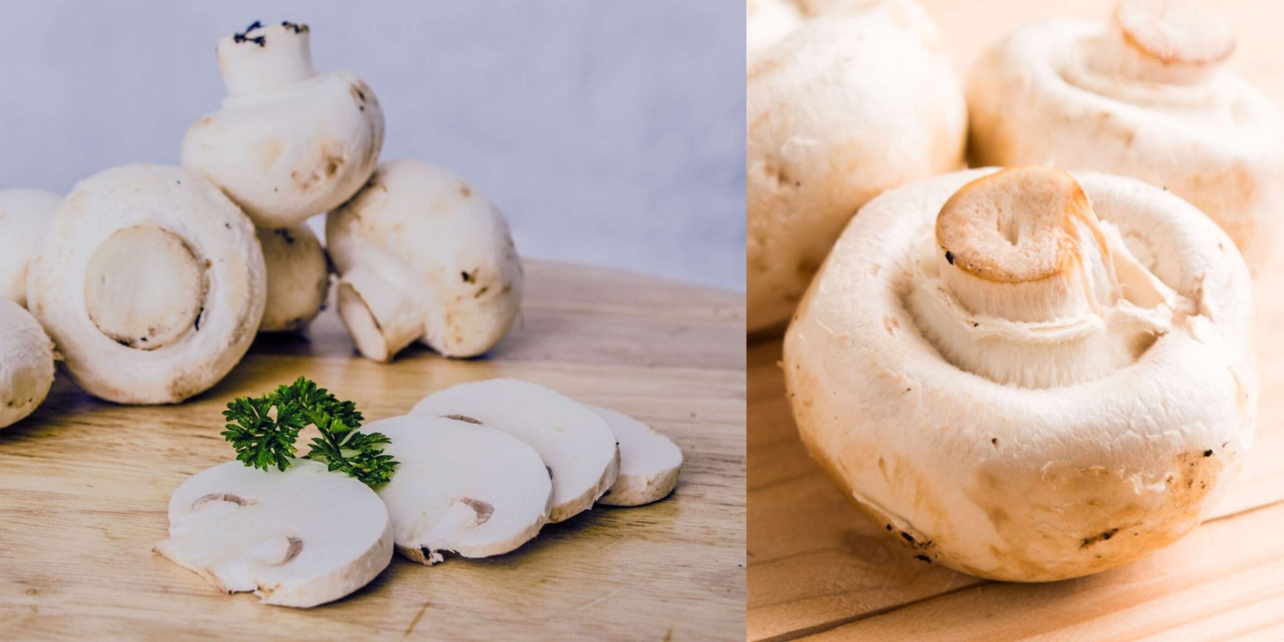 Champignon: história e benefícios nutricionais - Alimentos do Amanhã